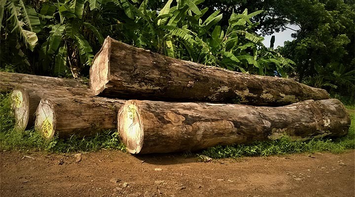 Realwood - Westwood Floorings